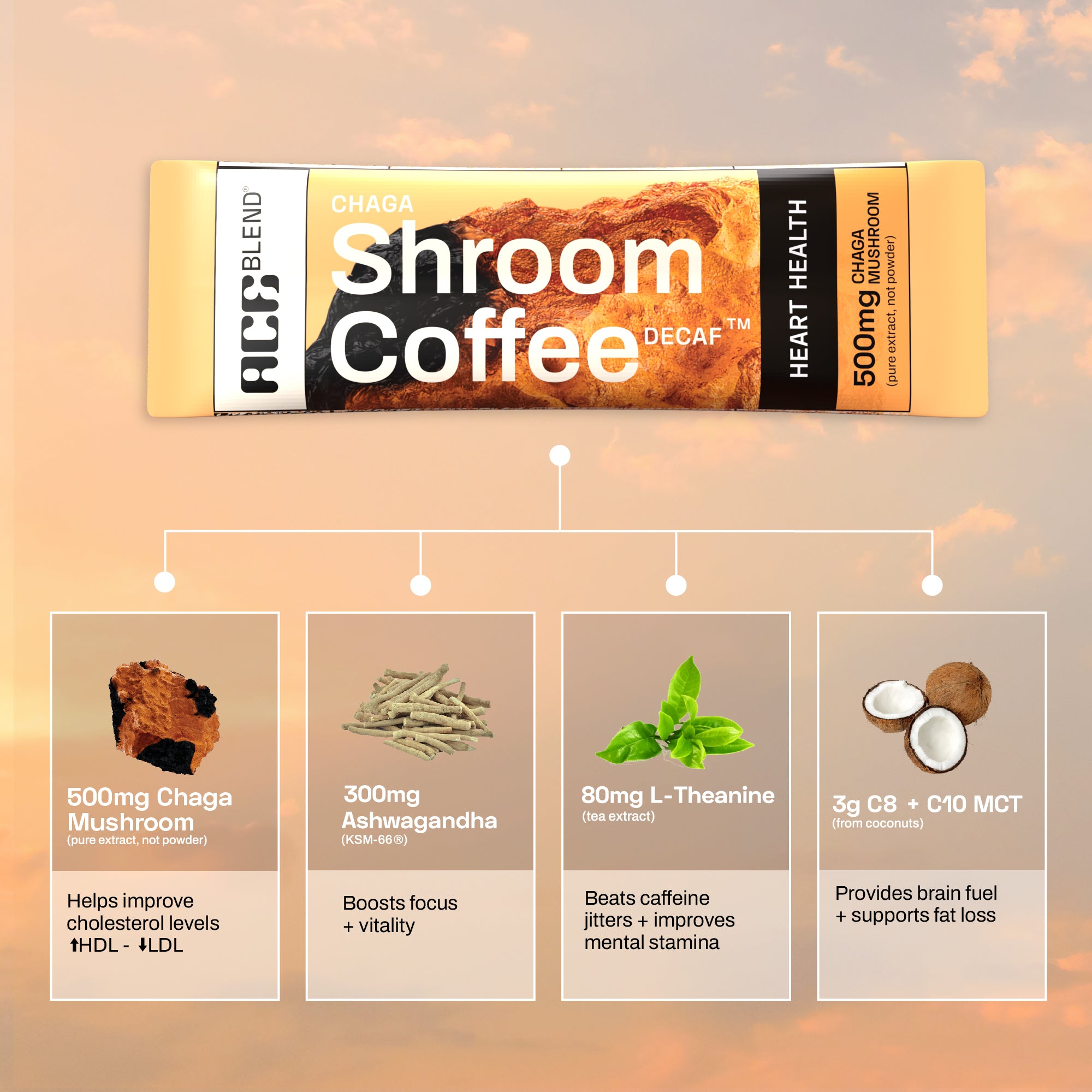 Chaga Shroom Coffee (Decaf)